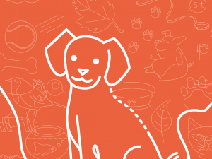 Amplify CKLA K–2 I Kindergarten to 2nd Grade Core Knowledge Language Arts